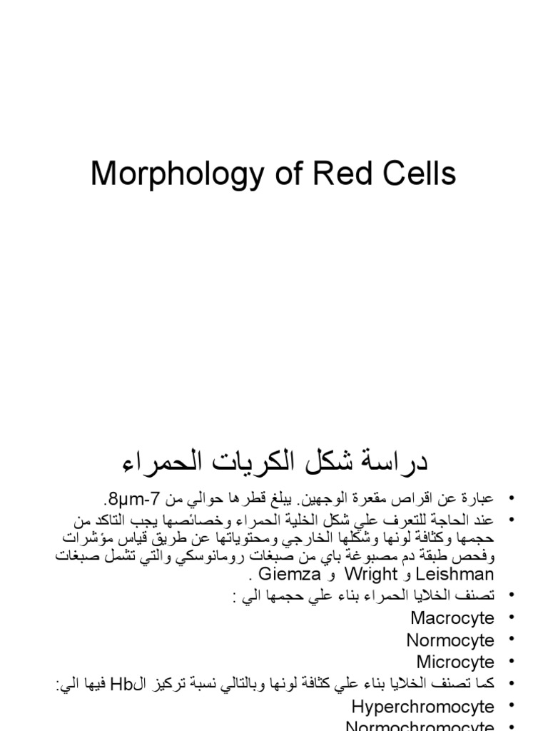 Morphology of Red Cells | PDF