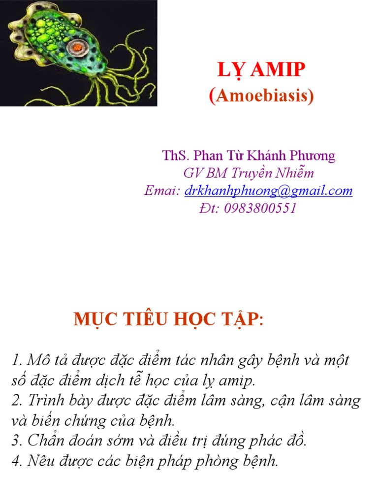 LỴ AMIP | PDF