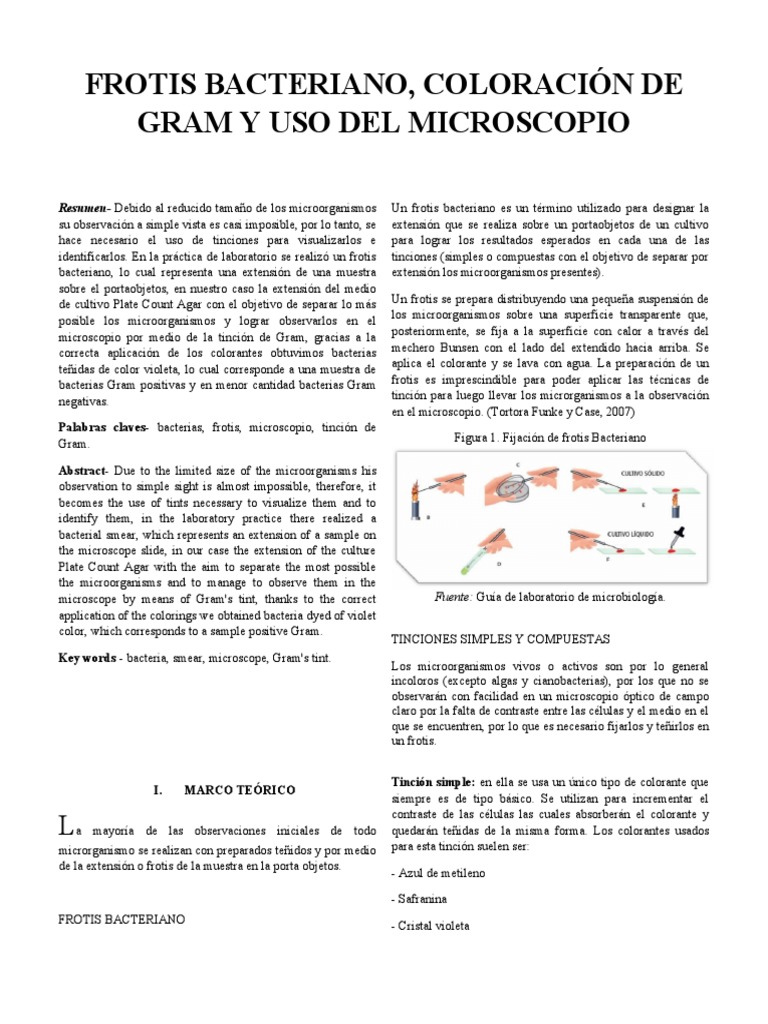 Informe 2 Micro | PDF | Tinción | Las bacterias