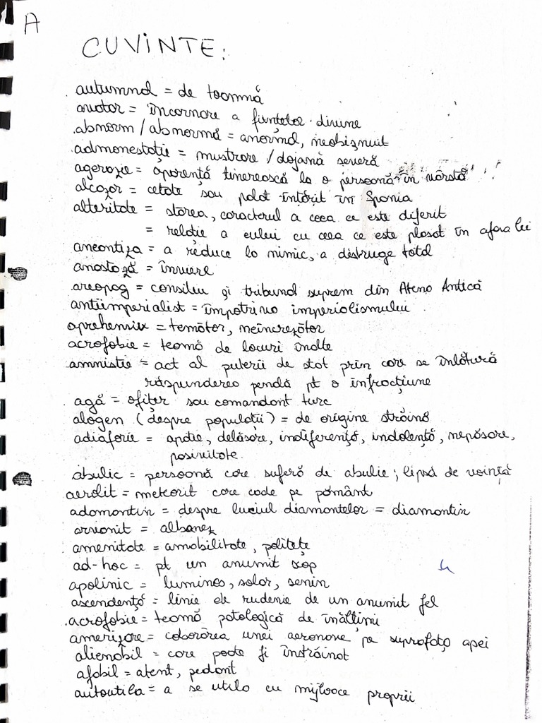 Romana Sinonime | PDF