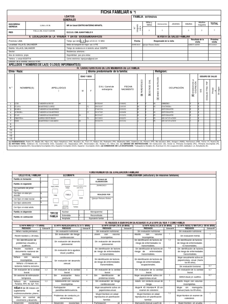 Ficha Familiar Minsa | PDF | Trabajo Social