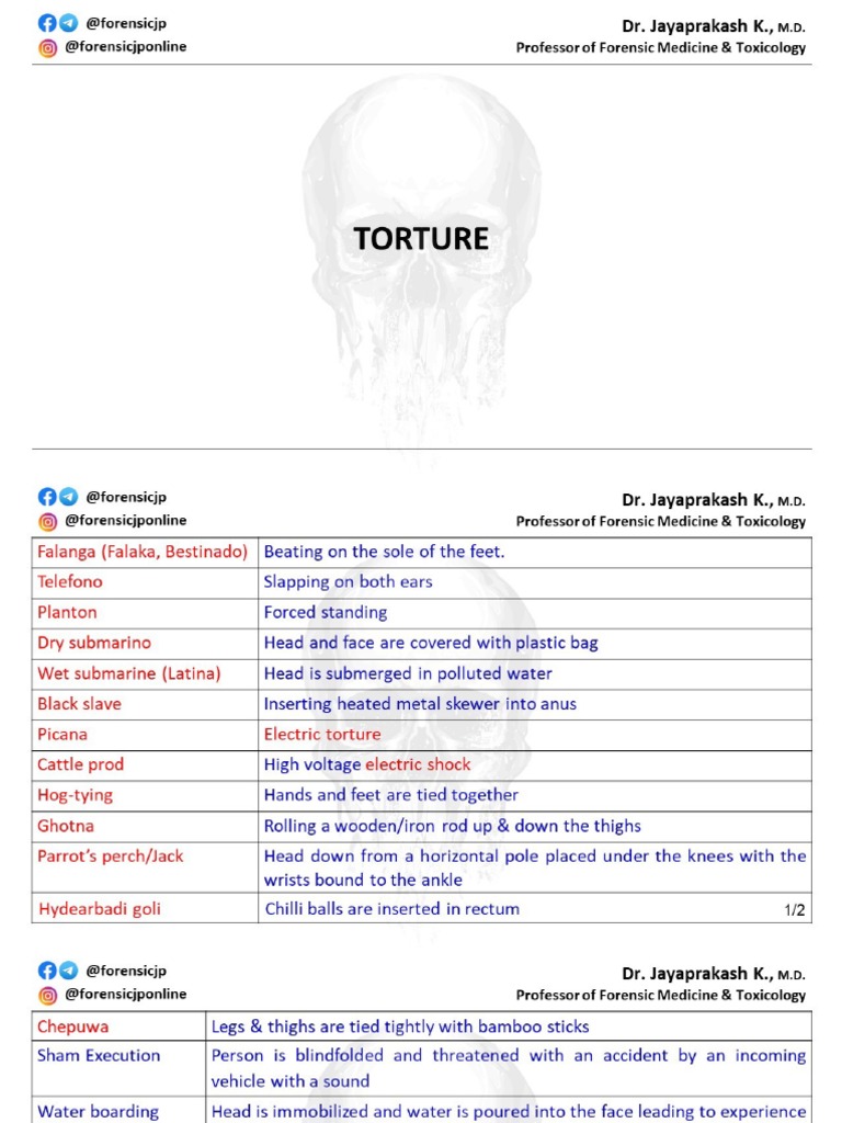 Torture Pdf