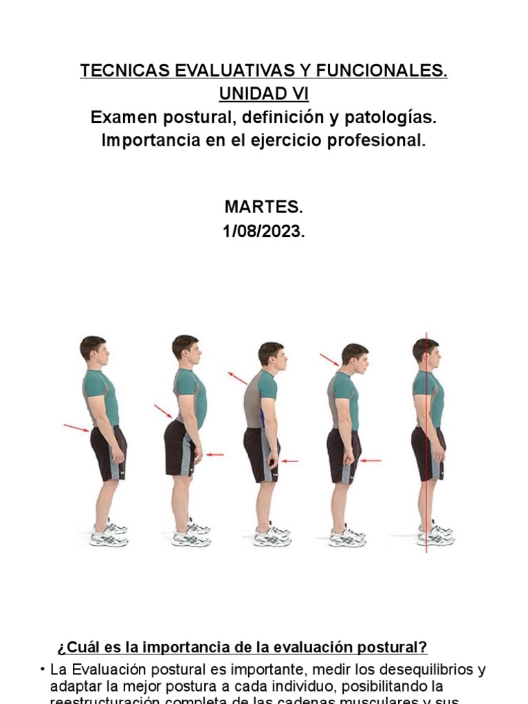 Evaluación Postural: Guía Completa | PDF | La columna vertebral ...