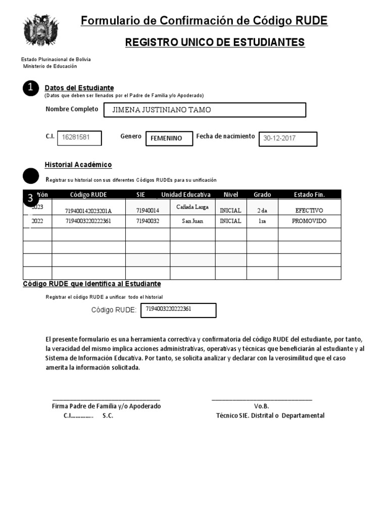Forulario de Unificación de Rude | PDF