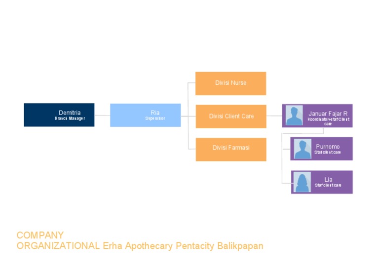 Company ORGANIZATIONAL Erha Apothecary Pentacity Balikpapan: Divisi ...
