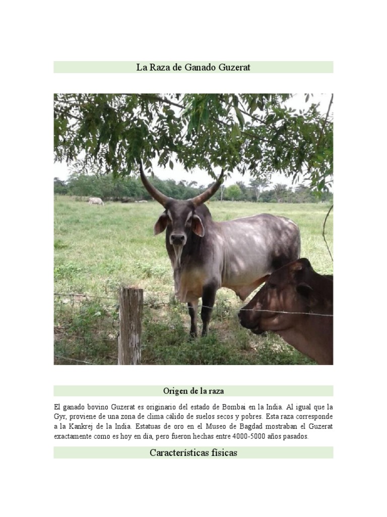 Guzerat Pdf