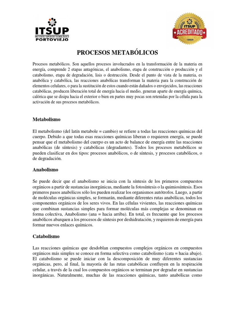 Procesos Metabólicos | PDF | Metabolismo | Síntesis química