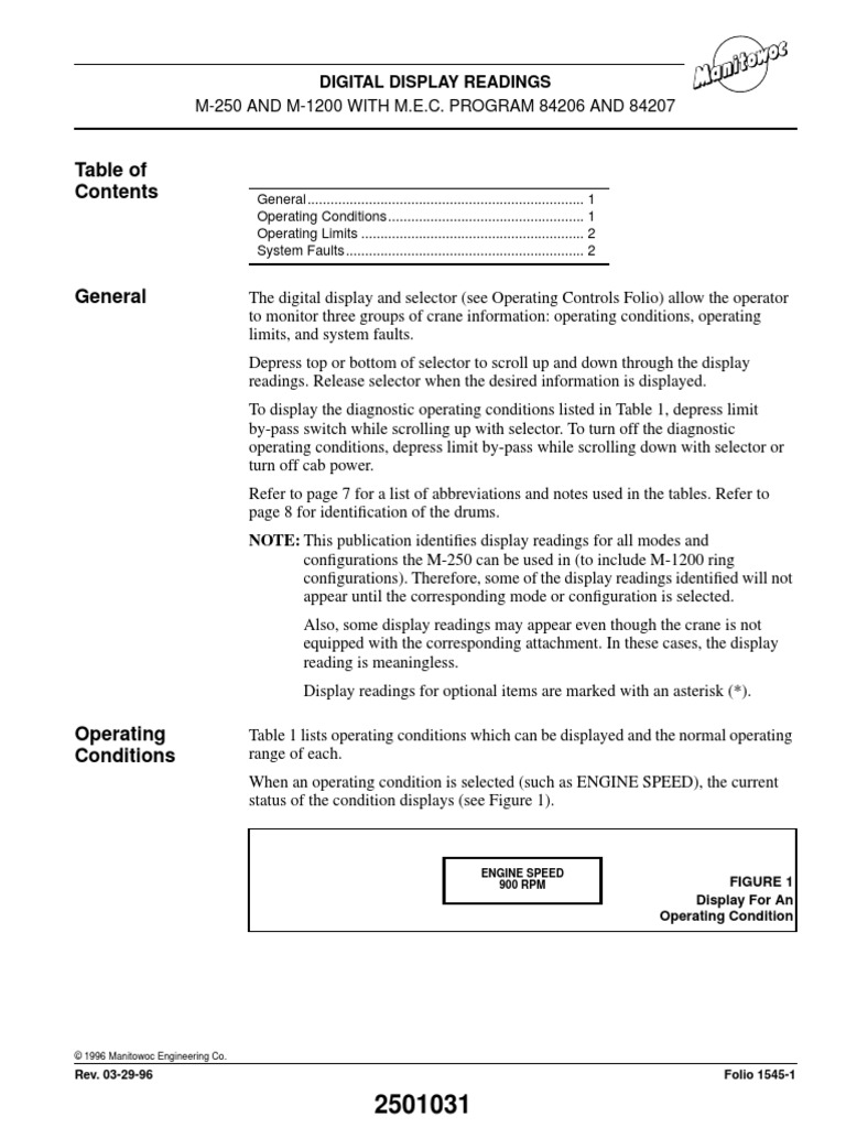 Documento de Leonardo Borba | PDF | Crane (Machine) | Mechanical Engineering