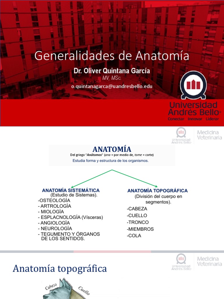 Clase 2. Generalidades de Anatomía | PDF | Términos anatómicos de ...