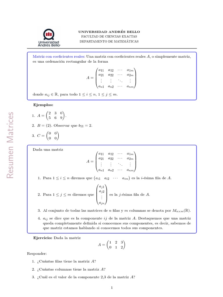 Resumen Matrices | PDF | Matriz (Matemáticas) | Determinante