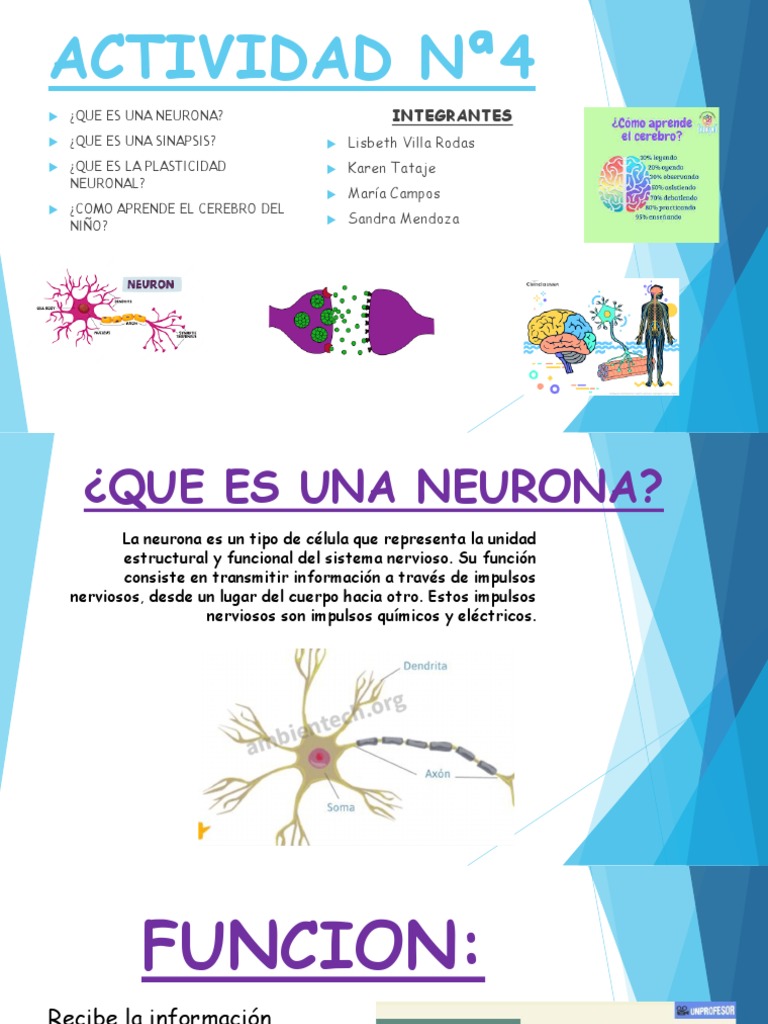 Las Neuronas | PDF