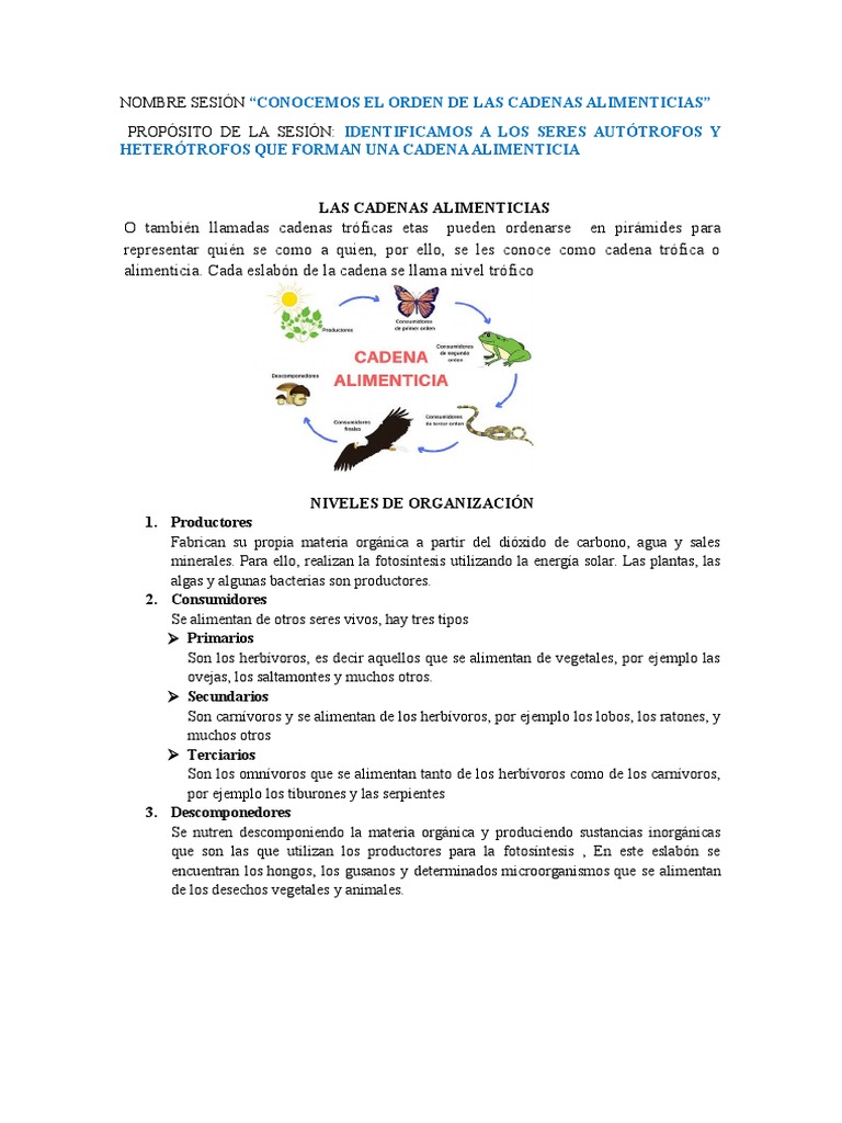 Cadena Alimenticia | PDF