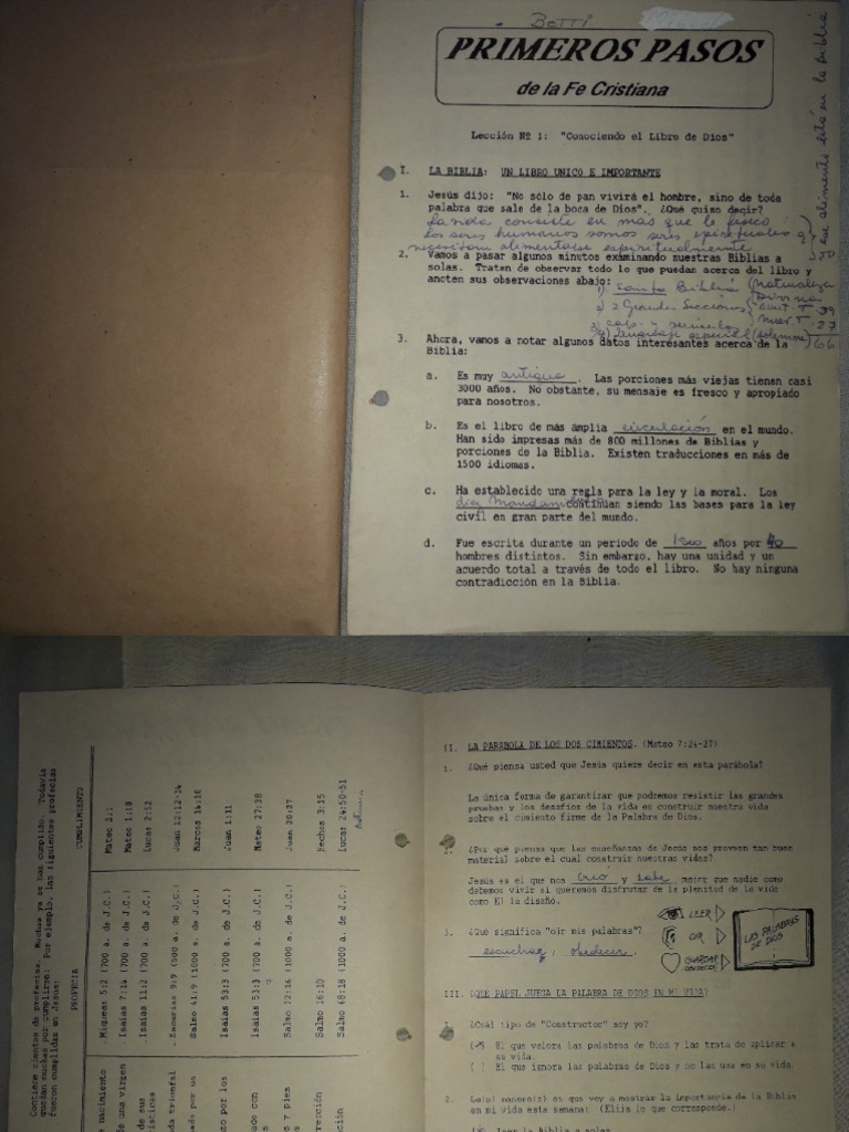 Primeros Pasos | PDF