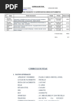 Formato de Rfi | PDF