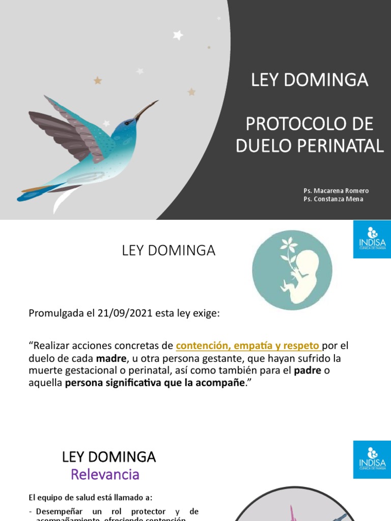 Capacitación Ley Dominga y Duelo Perinatal | PDF | Dolor | Partería