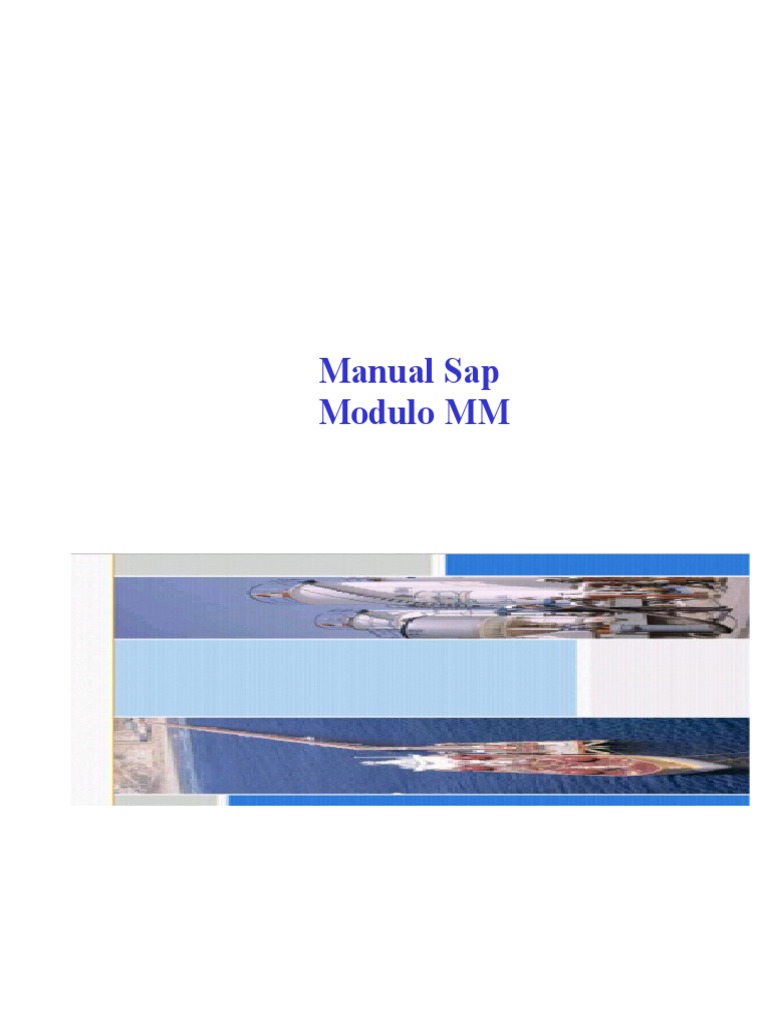 Manual MM Sap | PDF | Planificación de recursos empresariales | Obtención