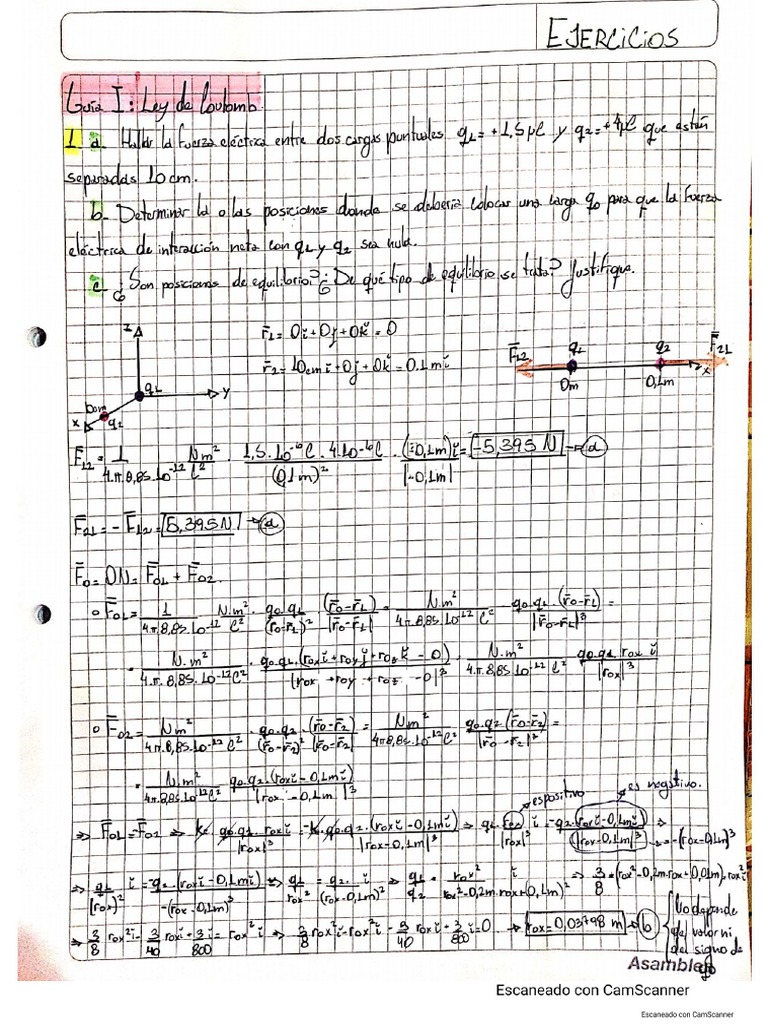 F2 - Guía I - Ana Gutson | PDF