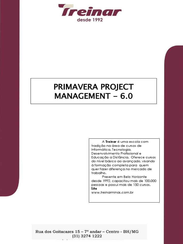 Apostila Primavera Project Basico | PDF | Engenharia de Sistemas
