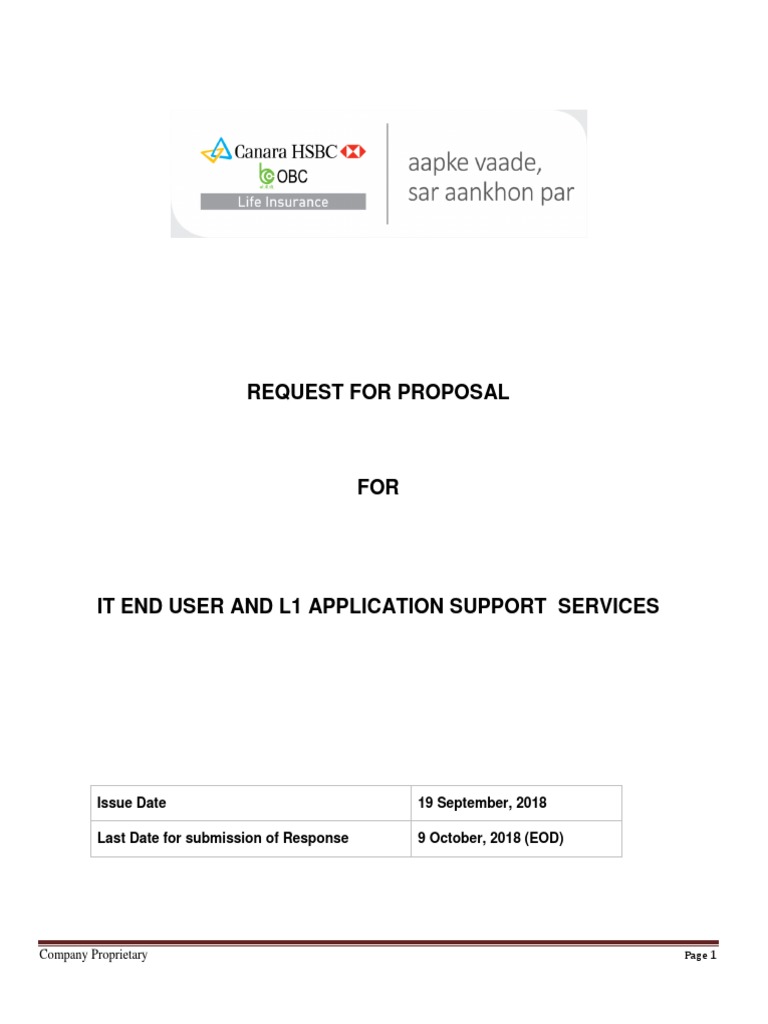 IT Application Support Services Proposal | PDF
