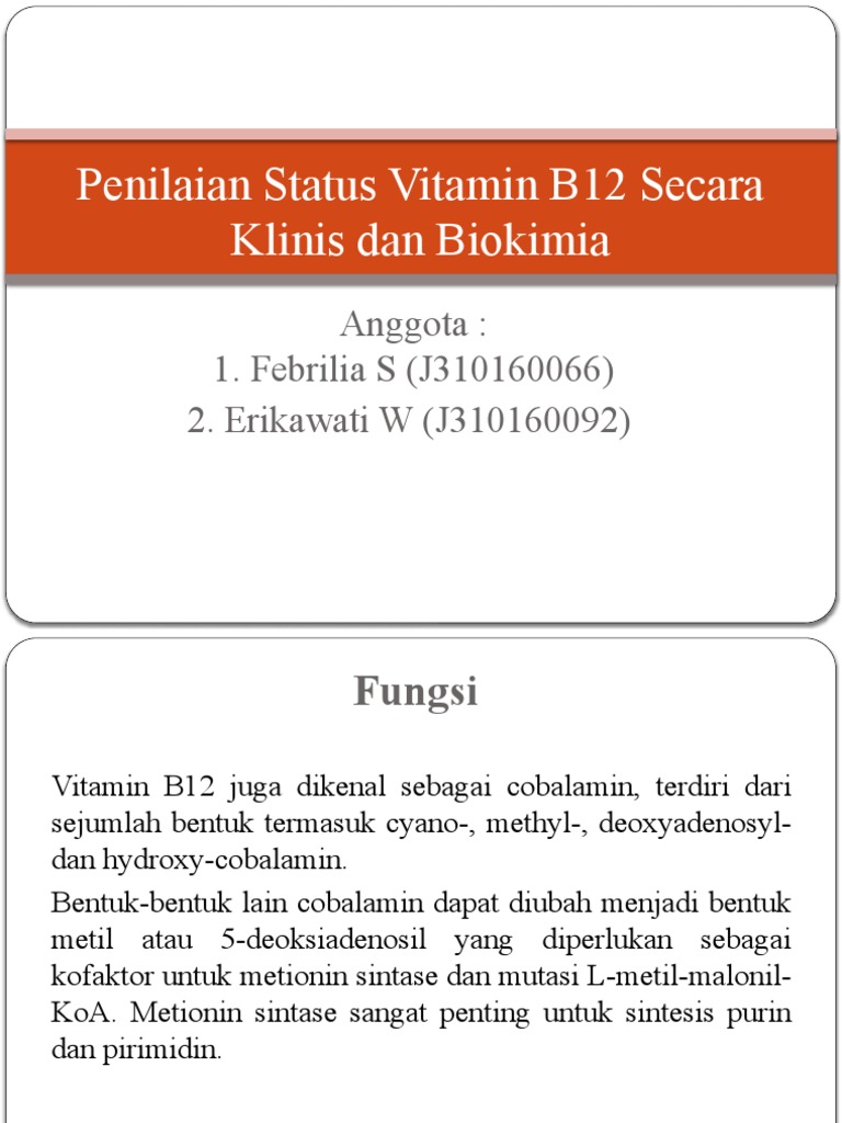Vitamin B12 | PDF