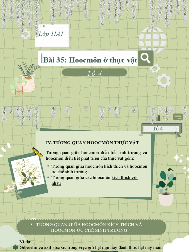 Bài Hooc môn của thực vật | PDF