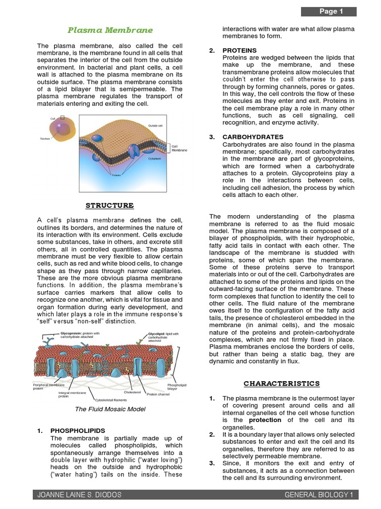 Gen. Biology 1 Reviewer | PDF