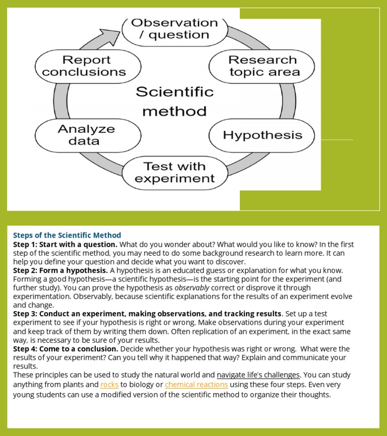 Understanding the Scientific Method Steps | PDF | Career & Growth