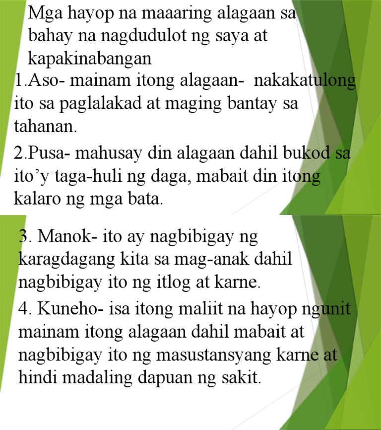 Agri - Rasa-Basa - Week 9 - Mga Hayop Na Maaaring Alagaan Sa Bahay. | PDF Agri - Rasa-Basa - Week 9 - Mga Hayop Na Maaaring Alagaan Sa Bahay. | PDF