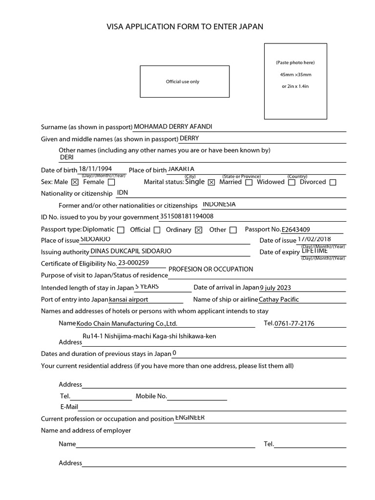 Visa Application Form To Enter Japan: Single | PDF | Travel Visa | Prostitution