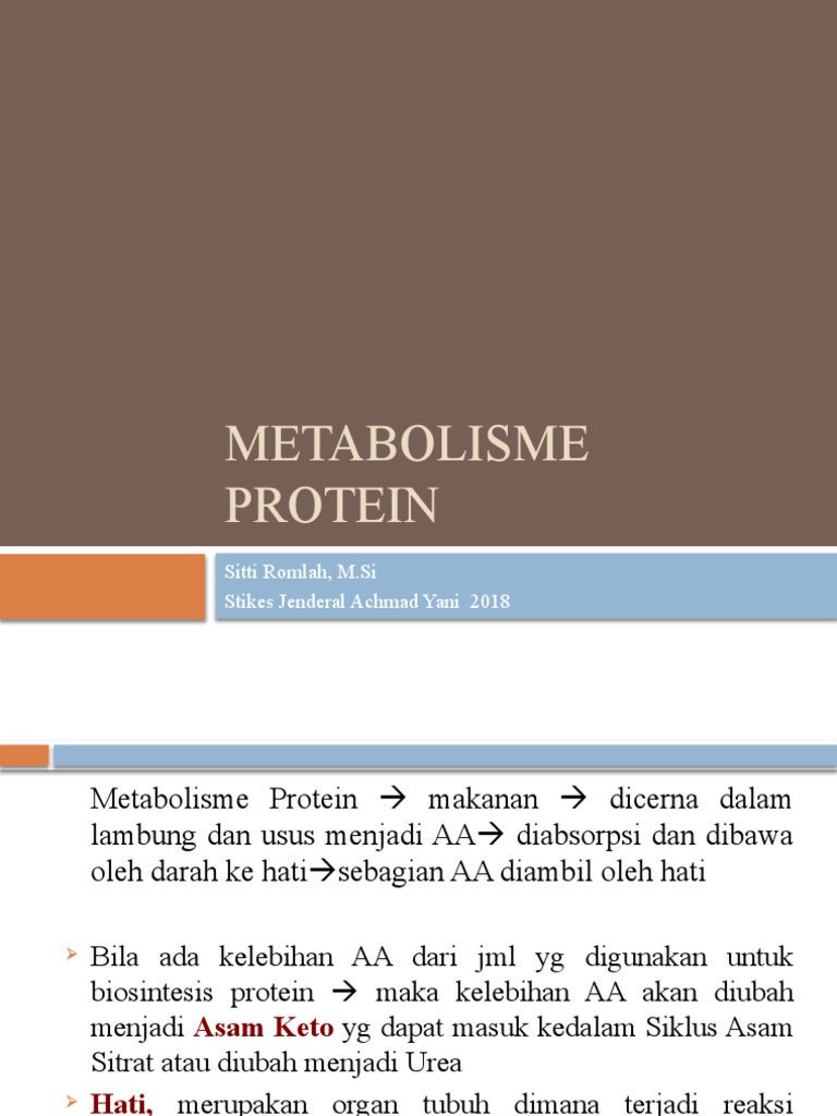 Metabolisme Protein | PDF | Science & Mathematics
