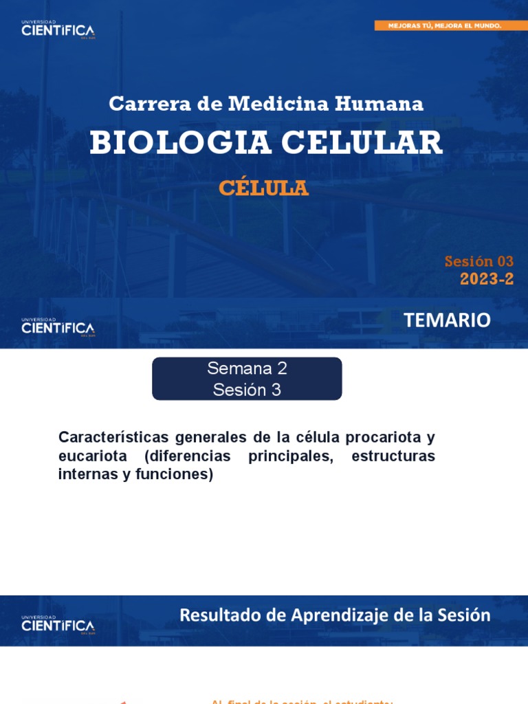 Biología Celular - Célula-2-16 | PDF | Biología Celular) | Organismos