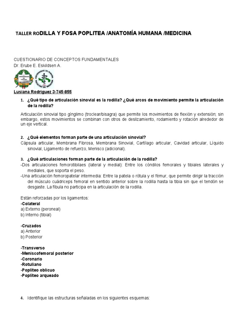 Taller Rodilla y Fosa Poplitea | PDF | Rodilla | Tejido suave