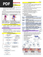 Algoritmo Reneo-1 1 | PDF | Reanimación cardiopulmonar | Tratamientos ...