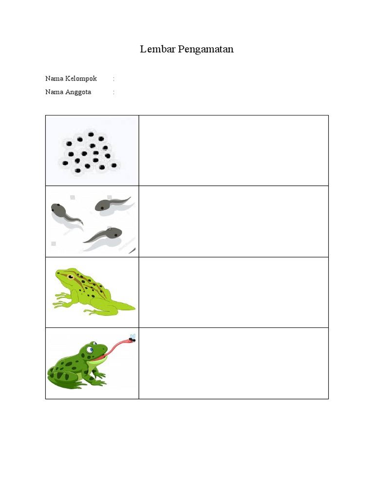 Lembar Pengamatan Nama Katak | PDF