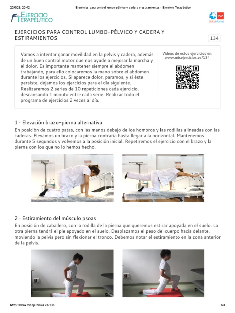 Ejercicios para Control Lumbo-Pélvico y Cadera y Estiramientos ...