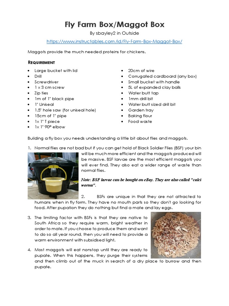 Maggot Box | PDF | Fly