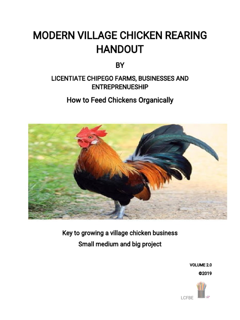 Organic Chicken Feed Guide | PDF | Wellness