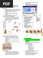 Introduction To Human Physiology | PDF | Human Body | Homeostasis