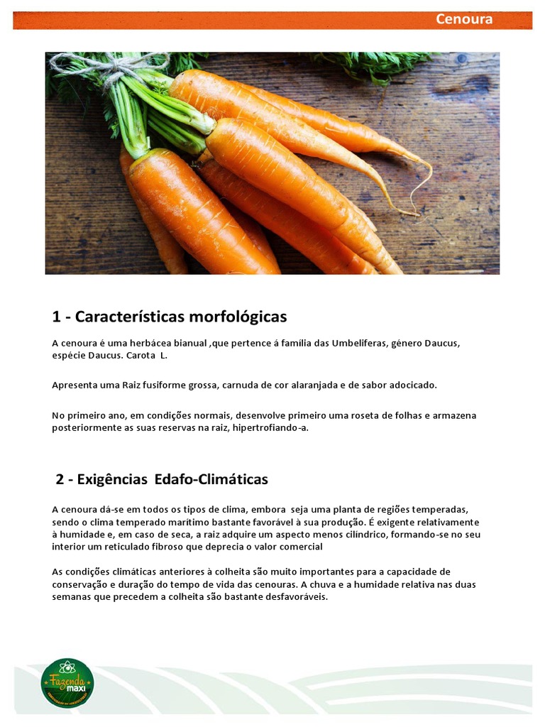 Ficha Tecnica Dossier Fazenda Cenoura | PDF | Agricultura | Solo