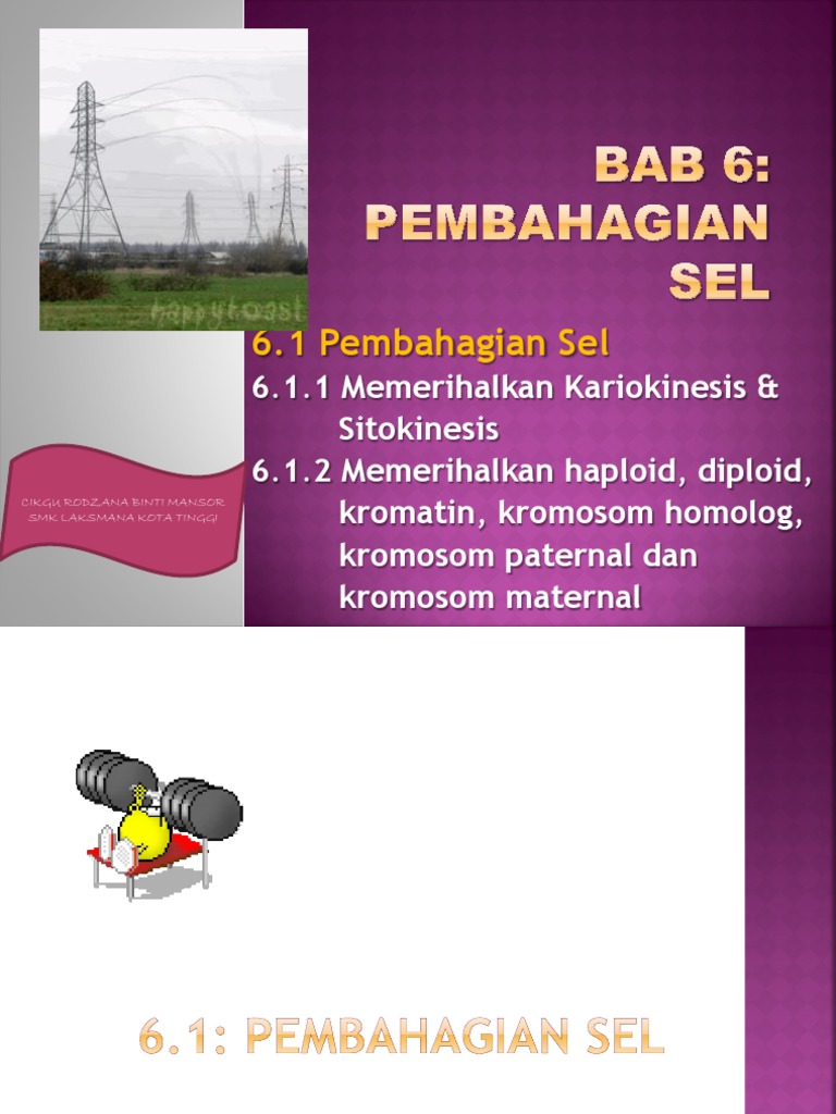 Proses Kariokinesis dan Sitokinesis | PDF