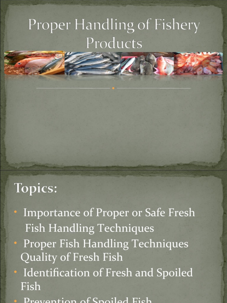 Proper Techniques for Fish Handling | PDF