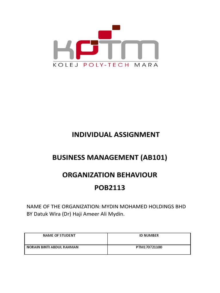 Individual Assignment Ob Ain | PDF | Leadership