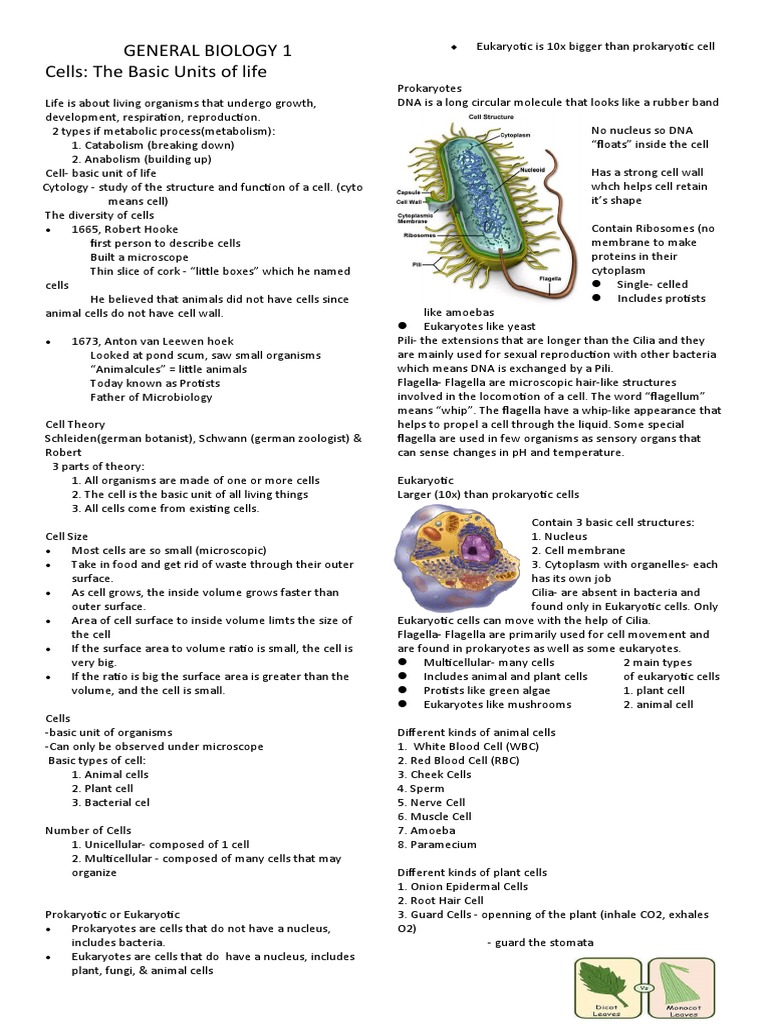 General Biology Cells1 | PDF | Cell (Biology) | Cell Membrane