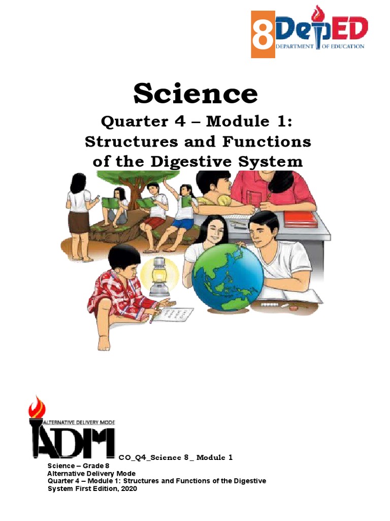Science8_Q4_Mod1_StructuresandFunctionsoftheDigestiveSystem | PDF | Digestion | Human Digestive ...