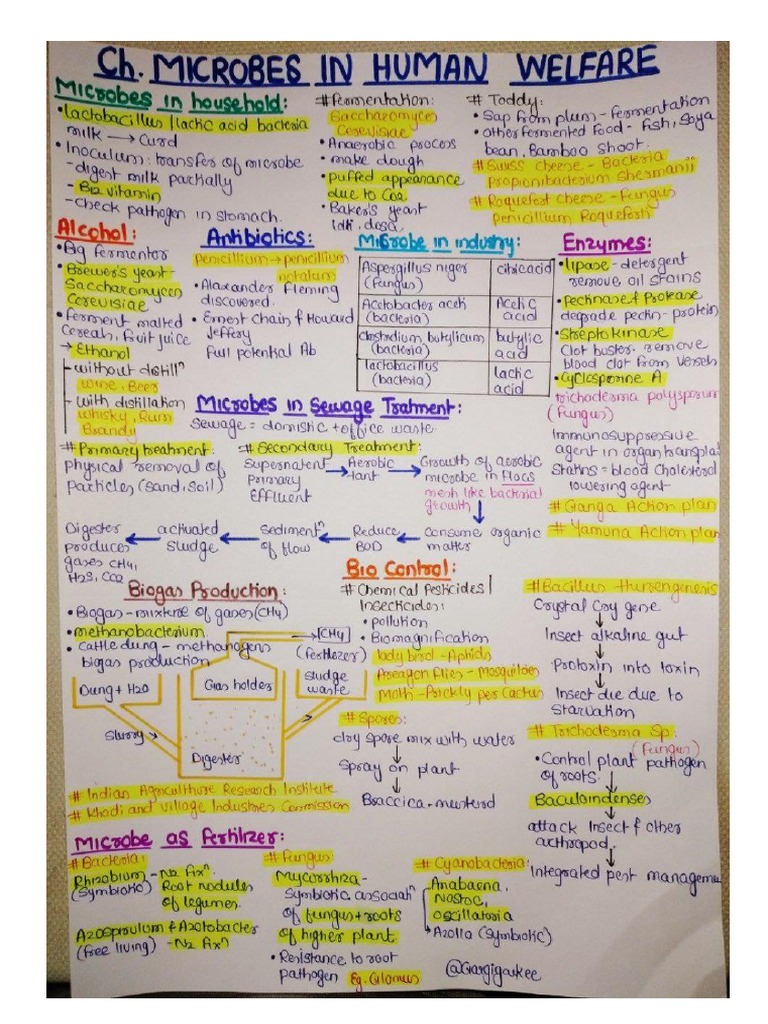 microbes in human welfare class 12th chapter 10 | PDF