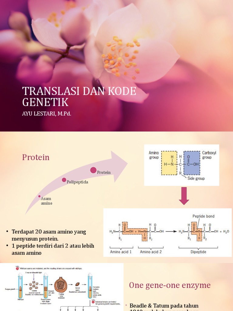 Translasi Dan Kode Genetik | PDF