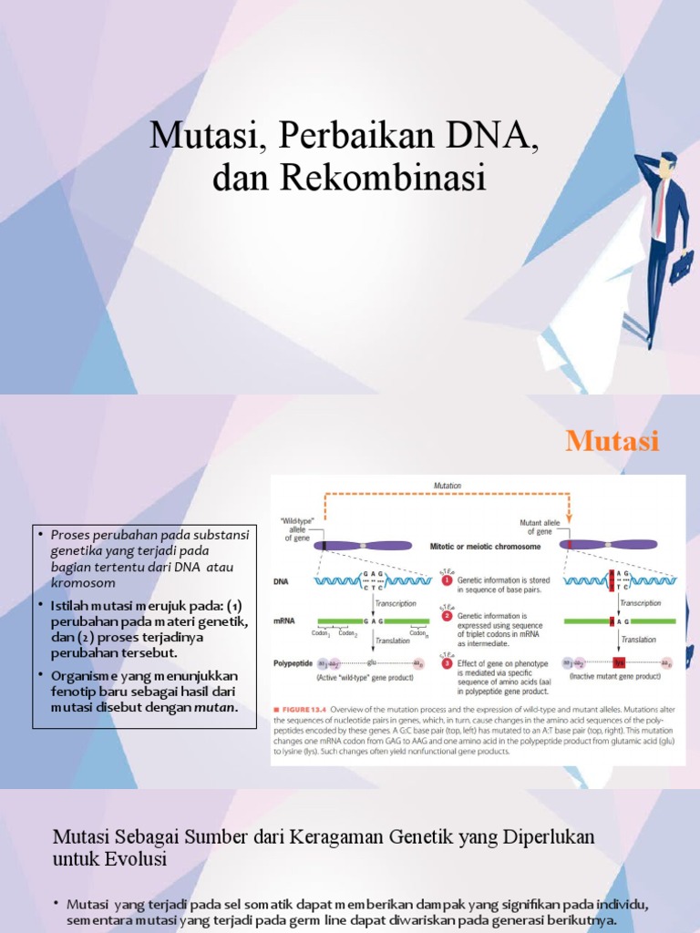 Mutasi, Perbaikan Dna, Rekombinasi | PDF