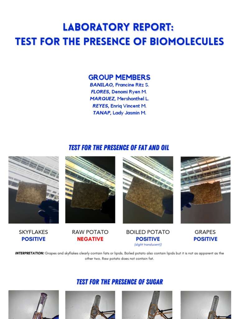 LAB-REPORT-Test-for-the-Presence-of-Biomolecules | PDF