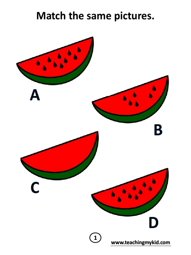 Activity Book 2 | Download Free PDF | Puzzles