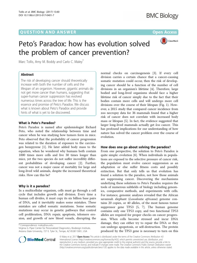 How Evolution Solved Problem of Cancer Prevention | PDF | Cancer | P53